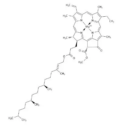 Niezwykłe barwy. O barwnikach roślinnych - Czasopismo Biologia w szkole ...